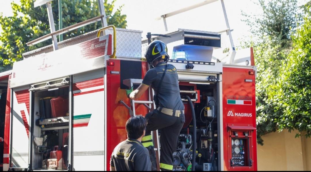 Forte ondata di maltempo: alberi abbattuti dalla pioggia, fulmine ... Forte ondata di maltempo: alberi abbattuti dalla pioggia, fulmine ...