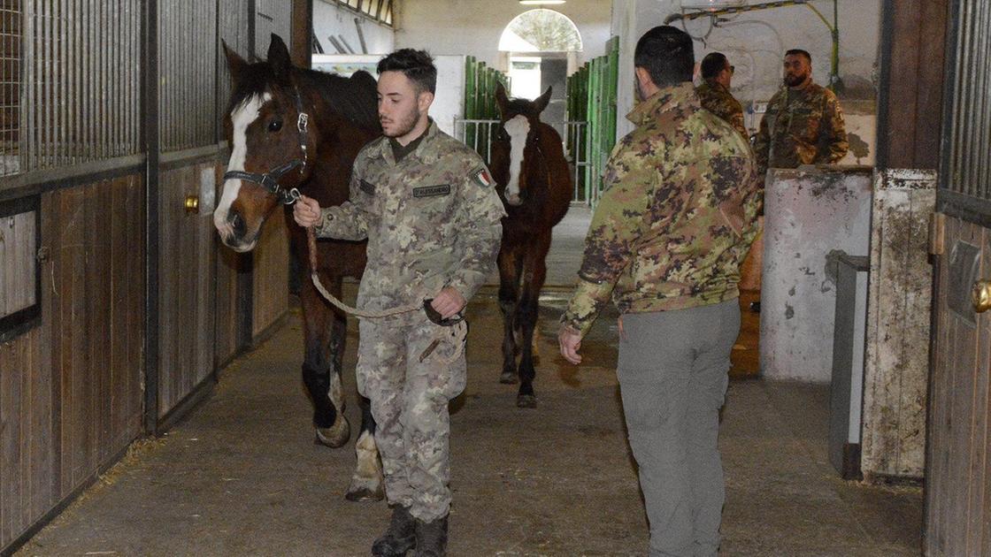 Cemivet, nuova polemica. Interrogazione del Pd. Il sindaco: Cemivet, nuova polemica. Interrogazione del Pd. Il sindaco: