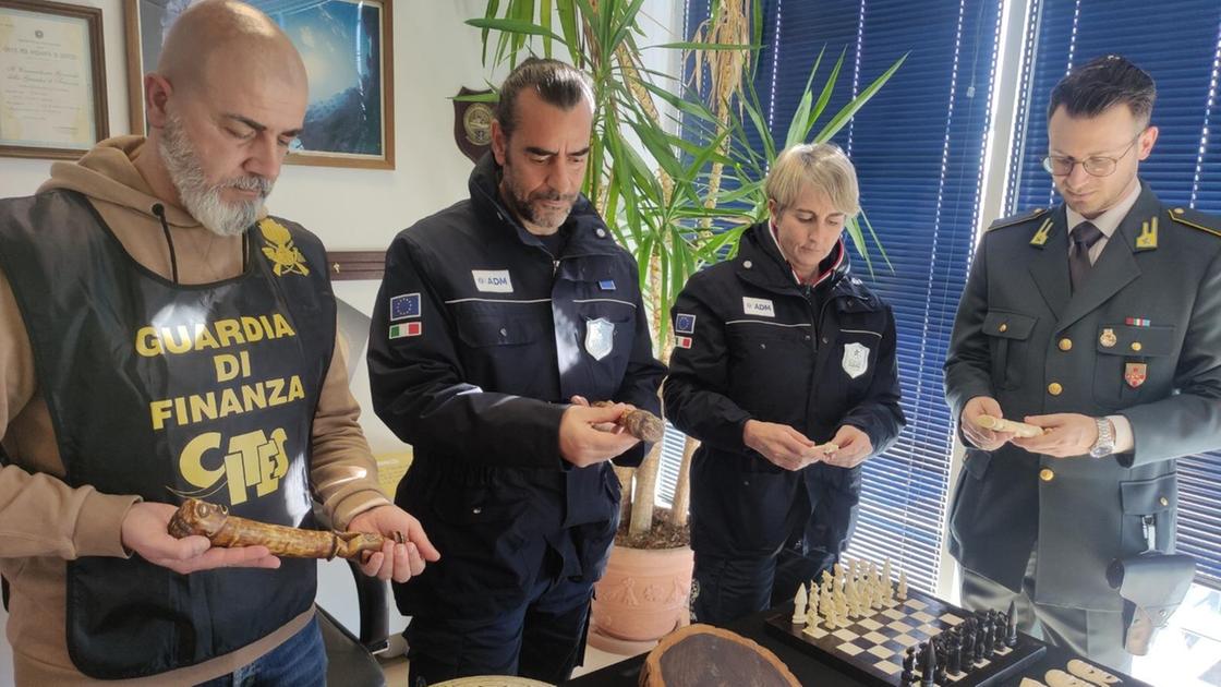 Sequestrati 82 oggetti in avorio ed ebano. Spedizione privata di una ... Sequestrati 82 oggetti in avorio ed ebano. Spedizione privata di una ...